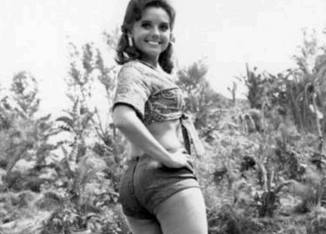 Dawn Wells · | Reel 360 - We are Advertainment