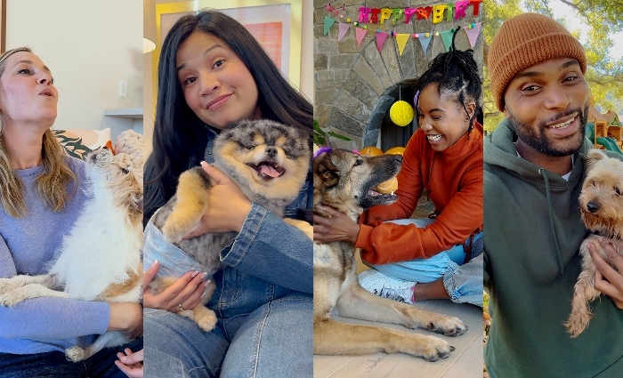 Hartz reveals pet owners' biggest secrets - Reel 360 News